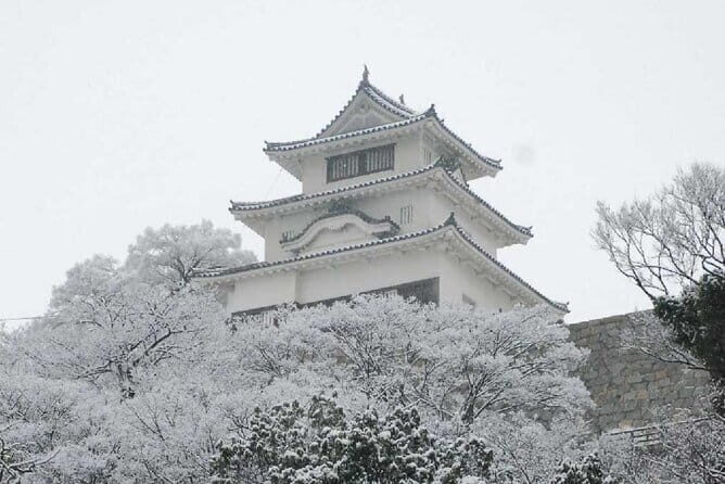 8 Day Private One Way Bus Tour to Fukuoka from Osaka - Final Thoughts