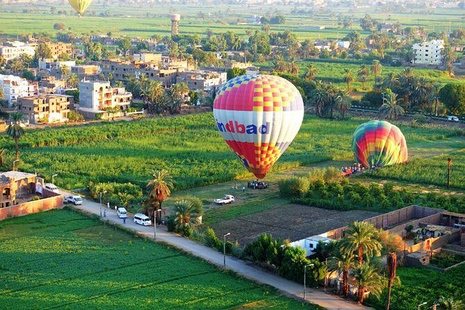 8-Day Private Sightseeing Excursion with Nile Cruise from Cairo airport.hot deal - Key Points