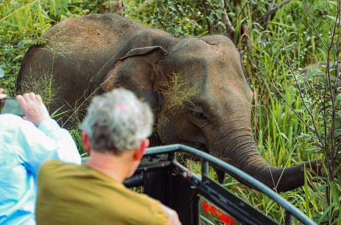 8 Day Private Sri Lanka Tour with Chauffeur - Day 5: Scenic Train & Waterfalls