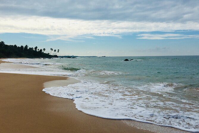 8 Day Private Sri Lanka Tour with Chauffeur - Day 6: Safari and Coastal Galle