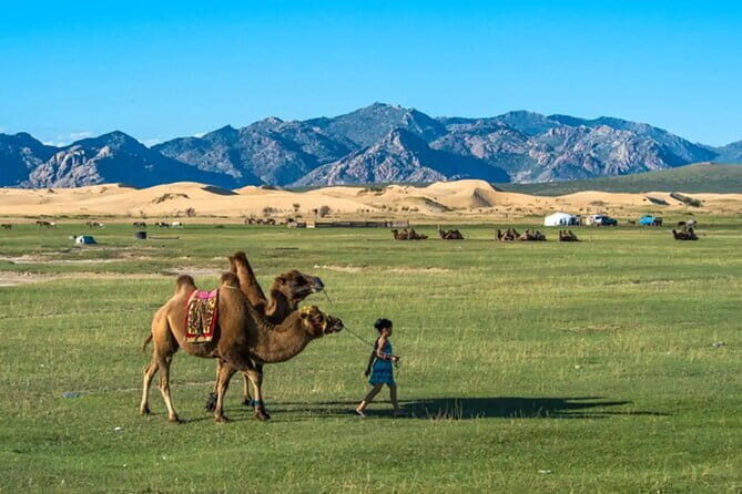 8 Day Private Tour to Ancient Capital of the Great Mongol Empire - Who Should Consider This Tour?