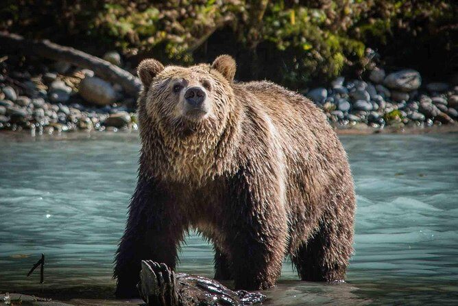 8 Day Private Tour Unpacked Western Canada in English or German - Final Thoughts