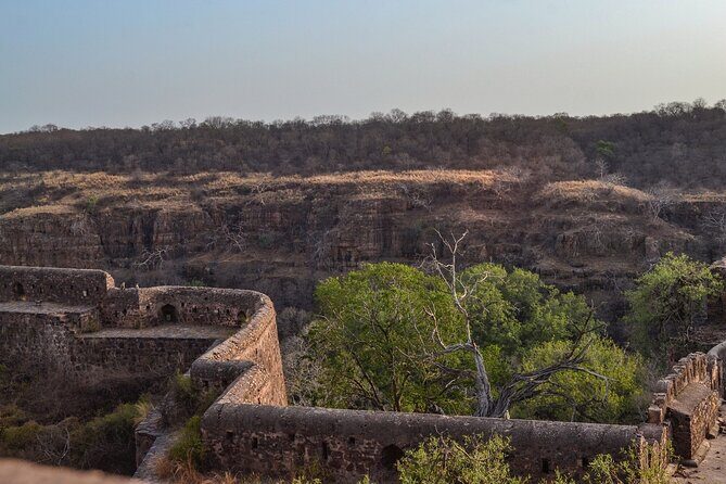 8-Day Private Transport for Golden Triangle Tour With Ranthambore - FAQs