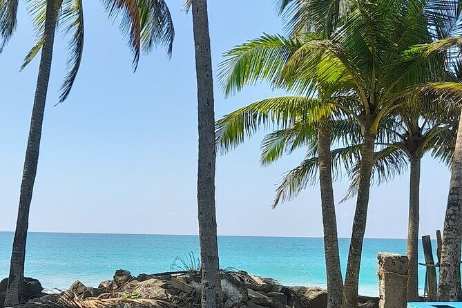 8-Day Sri Lanka Highlights Tour with Breakfast & Private Car - Key Points