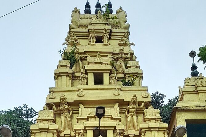 8-Day Sri Lanka Highlights Tour with Breakfast & Private Car - What Travelers Say