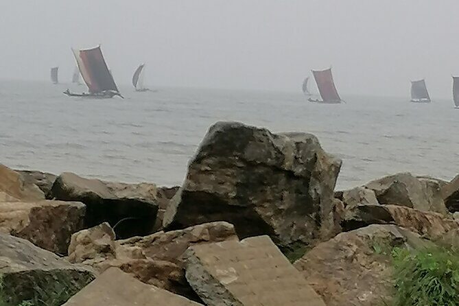 8-Day Sri Lanka Highlights Tour with Breakfast & Private Car - Who Should Consider This Tour?