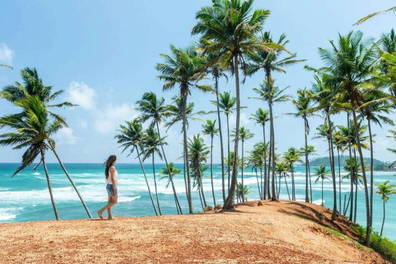 8-Day Sri Lanka Private Round Tour Hotels, Meals, Car, Guide - Starting with Sigiriya and Dambulla