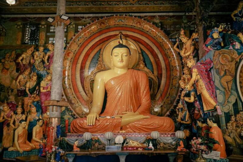 8-Day Sri Lanka Private Round Tour Hotels, Meals, Car, Guide - Wildlife and Beaches in Yala and Mirissa