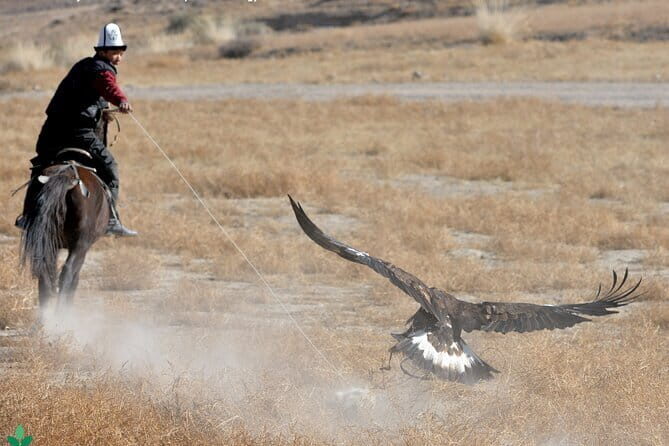 8 Day Tour in Nomadic Life of Kyrgyzstan - Moving Into Nature: Chon-Kemin National Park