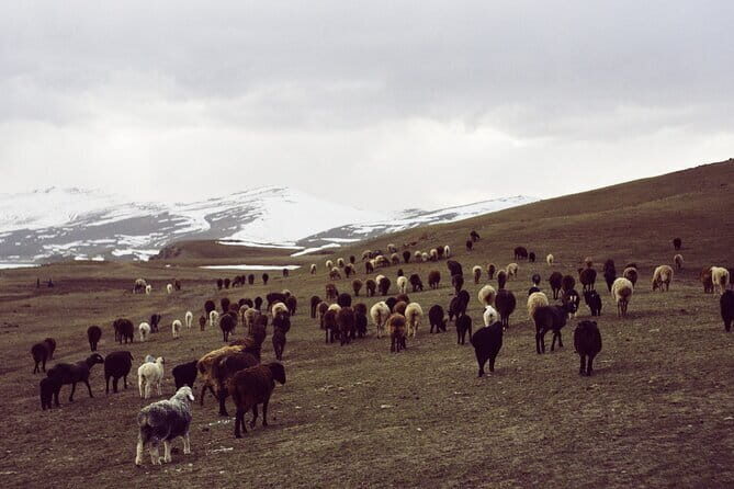 8 Day Tour in Nomadic Life of Kyrgyzstan - Returning to Bishkek and Final Day