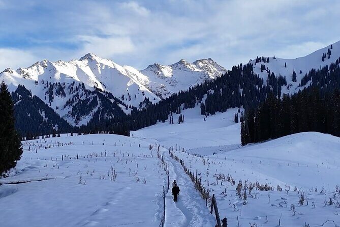 8-Day Tour of Ili, Xinjiang - Detailed Day-by-Day Breakdown