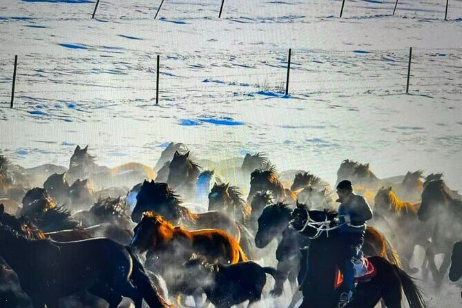 8-Day Tour of Ili, Xinjiang - FAQ