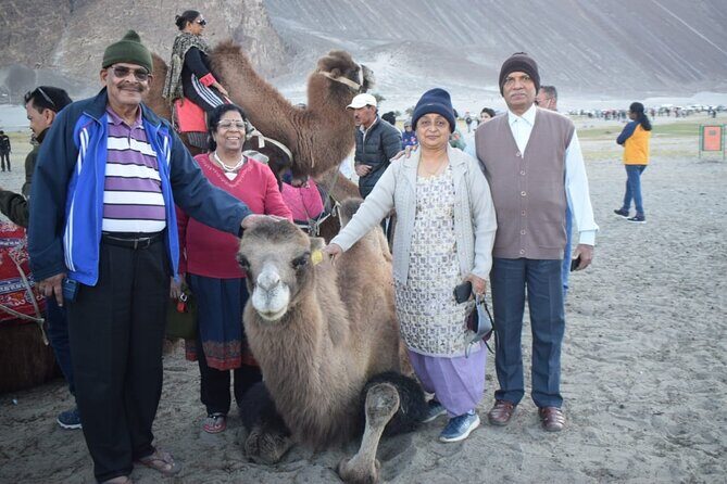 8-Day Tour of Leh, Nubra and Pangong with Pick Up - The Monastery Trail: Hemis, Thiksey, and Rancho School