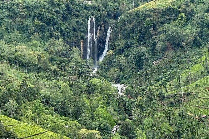 8 Days and 7 Nights Sri Lanka Tour - Wildlife and Beaches: Yala and Mirissa