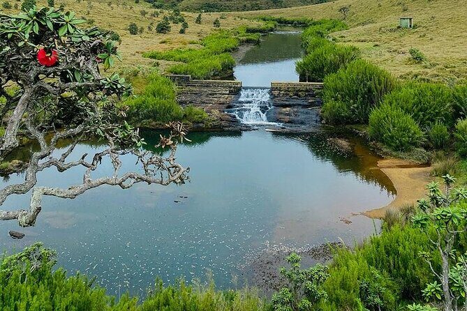 8 Days and 7 Nights Sri Lanka Tour - Whale Watching and Coastal Vibes in Mirissa