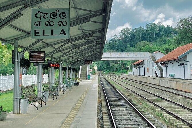 8 Days and 7 Nights Sri Lanka Tour - Final Day: Conservation and City Tour