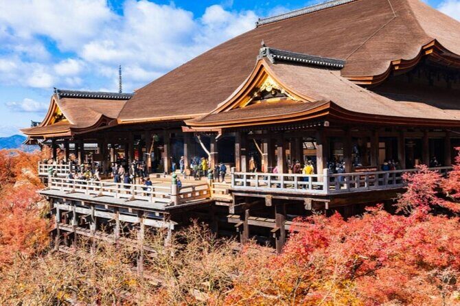 8 Days Best Of Japan Family Small Group - Final Thoughts