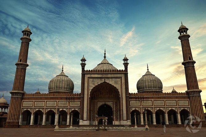 8 Days GOLDEN TRIANGLE EXCURSION WITH RANTHAMBORE WILDLIFE SAFARI - Transportation, Accommodation, and Value