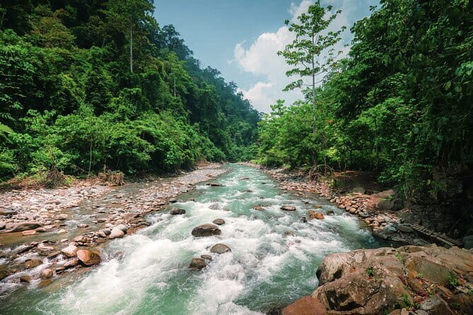 8 days group tour in Sumatra - Authenticity and Review Insights