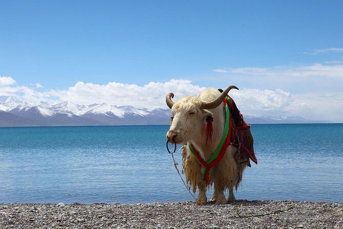 8-Days Heavenly Himalayas- LEH-LADAKH - Day 2: Exploring Leh’s Cultural Gems