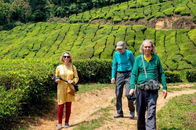 8 Days Kerala Private Tour Covering Kochi- Munnar- Periyar- Alleppey and Kovalam - Arrival in Kochi and First Impressions