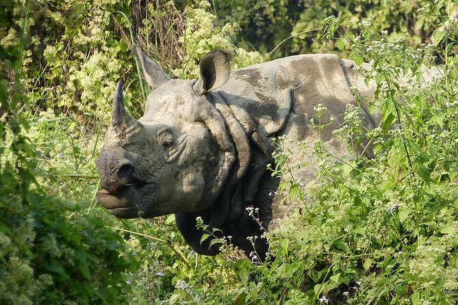 8 Days Luxury Nepal Tour - Who Will Love This Tour?