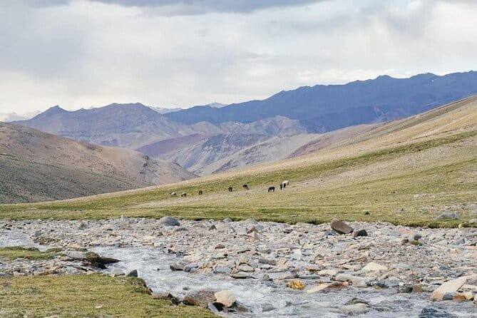 8 Days Mountaineering Experience in Ladakh India - 2. What Makes This Tour Special?