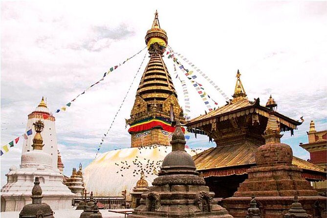 8 Days Nepal Highlights Tour: Culture, Wildlife & Lakeside Charm - Why Travelers Rate This Tour So Highly