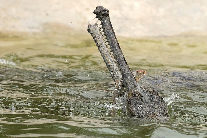 8 Days Nepal Tour (Kathmandu, Pokhara, and Chitwan Tour) - Transportation and Comfort