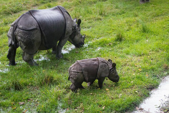 8 Days Nepal Tour (Kathmandu, Pokhara, and Chitwan Tour) - The Sum Up