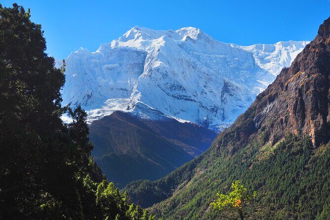 8 Days Private Guided Trekking in Annapurna Circuit with Pickup - Final Thoughts: Who Will Love This Trek?