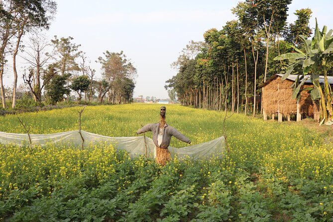 8-Days Private kathmandu Chitwan and Pokhara City tour - Practical Details and Value