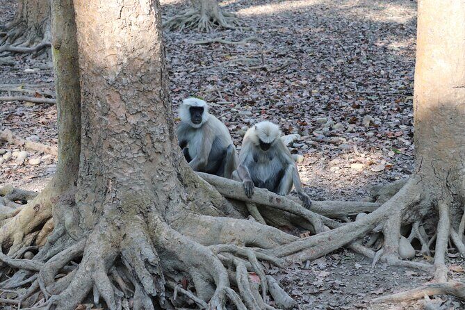 8-Days Private kathmandu Chitwan and Pokhara City tour - Authentic Experiences and Local Flavors