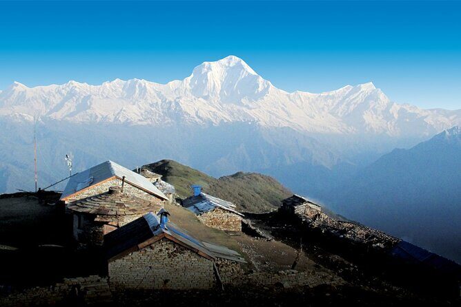 8 Days Private Pokhara Trekking to Khopra Hill - Value and Experience