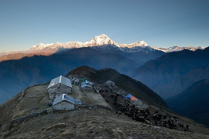 8 Days Private Pokhara Trekking to Khopra Hill - FAQ