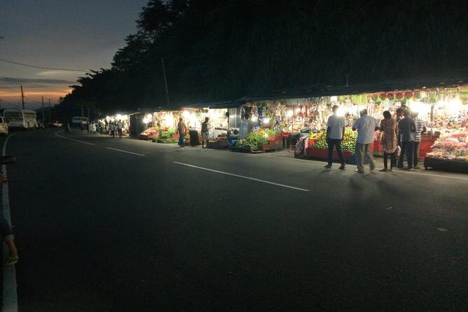 8 Days Sri Lanka Private Tour with Air Conditioned Vehicle - A Closer Look at the 8-Day Sri Lanka Tour