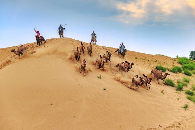 8 Days Tour: Gobi Desert And Kharkhorin - Key Points