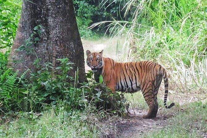 8 Days Tour in Nepal (Accommodation at 5 Star Hotel) - Exploring Cultural Icons: Boudhanath, Patan, Pashupatinath, and Swayambhunath
