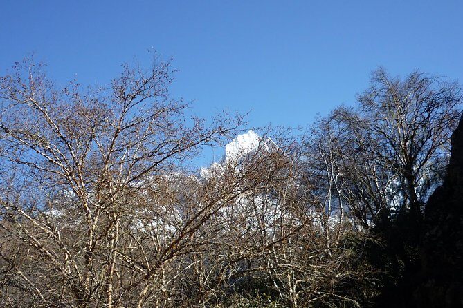 8 days trek to Everest - Day 5: From Thyangboche to Dingboche