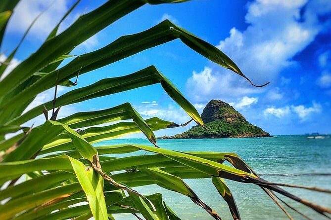 8 Hour Circle Island Jeep Tour - The Sum Up