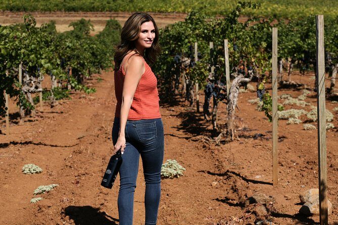 8-Hour Exclusive Wine Tour Experience for up to 6 Guests / Napa-Sonoma - How the Tour Works: Logistics and Practical Details