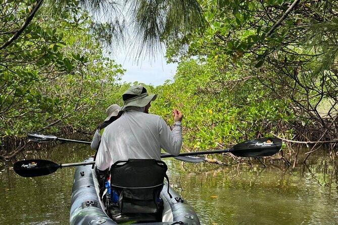 8-Hour Jungle Tour and Lagoon Passage to the Ocean in Fort Pierce - Exploring the Lagoon: An Up-Close Encounter with Florida’s Marine Life