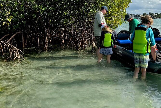 8-Hour Jungle Tour and Lagoon Passage to the Ocean in Fort Pierce - Equipment and Comfort