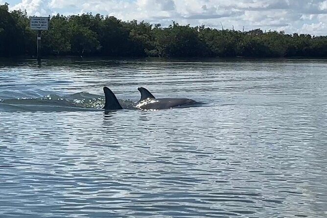 8-Hour Jungle Tour and Lagoon Passage to the Ocean in Fort Pierce - FAQ