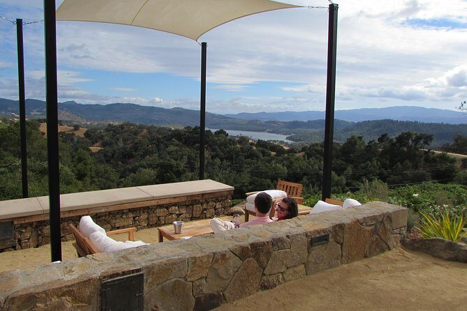 8 Hour Private Customized Wine Tour up to 7 Guests Napa & Sonoma - The Sum Up: Why This Tour Stands Out