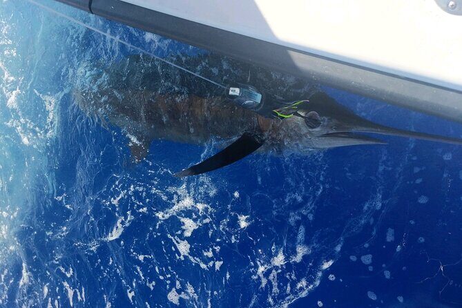 8 Hour Private Fishing Charter in Kailua-Kona, Hawaii - Authenticity and Lessons from Reviewers