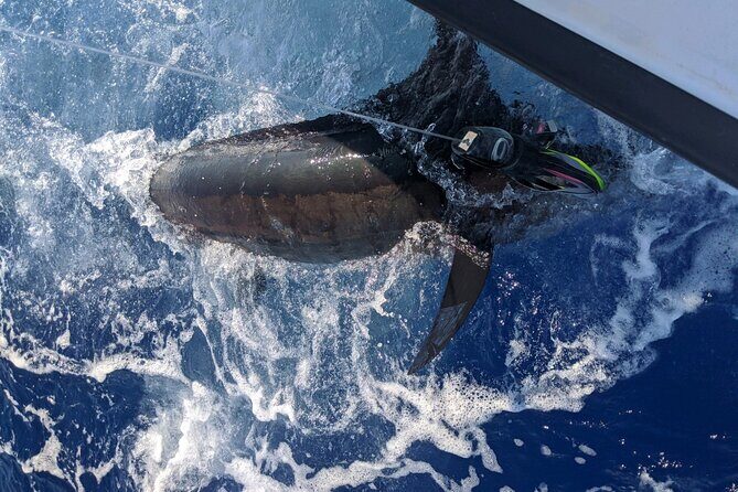 8 Hour Private Fishing Charter in Kailua-Kona, Hawaii - Beyond the Fish: Views, Nature, and Personal Moments