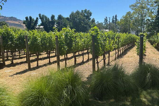 8-Hour Private Limousine Wine Country Tour of Napa or Sonoma - Key Points