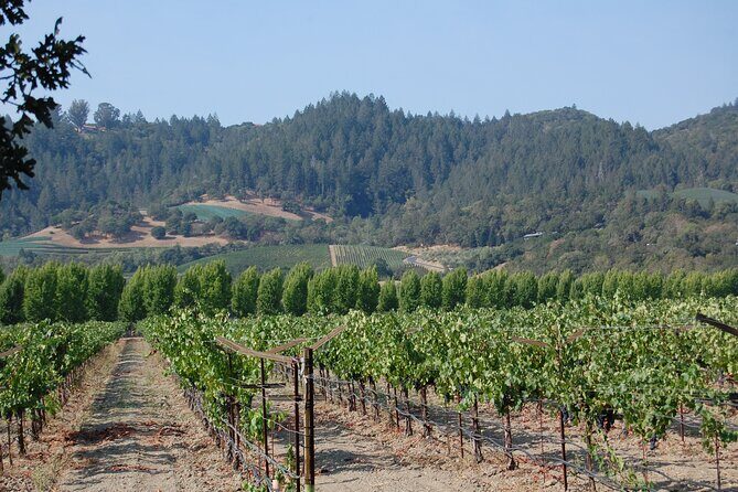 8 Hour Private Napa Wine Tasting Tour with a Sample Stops - Who Would Benefit Most from This Tour