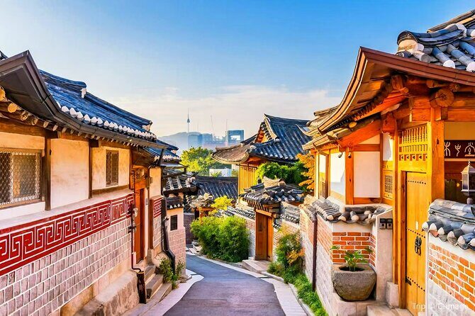 8 hour Private Tour Experience at Myeongdong by Car - Shopping and Food in Myeongdong